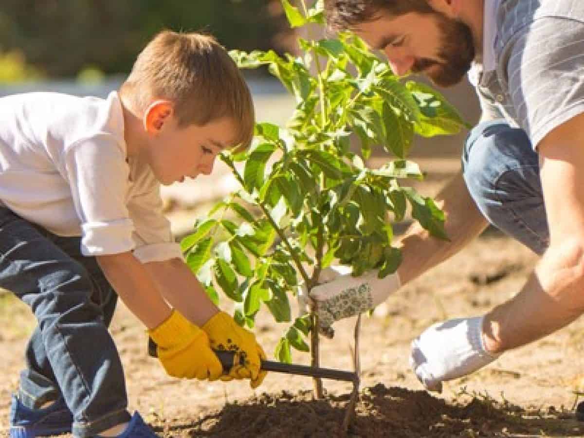 Tree Planting - IsraelFamilyTours